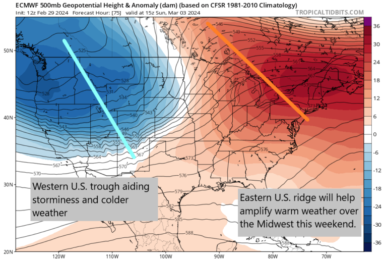 The Eyewall – Seeing you through the storm